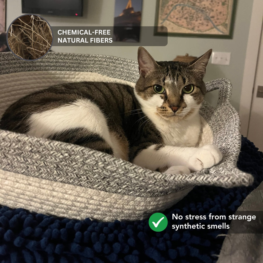 Instinct Basket | Meet the first research-backed natural territory for ...